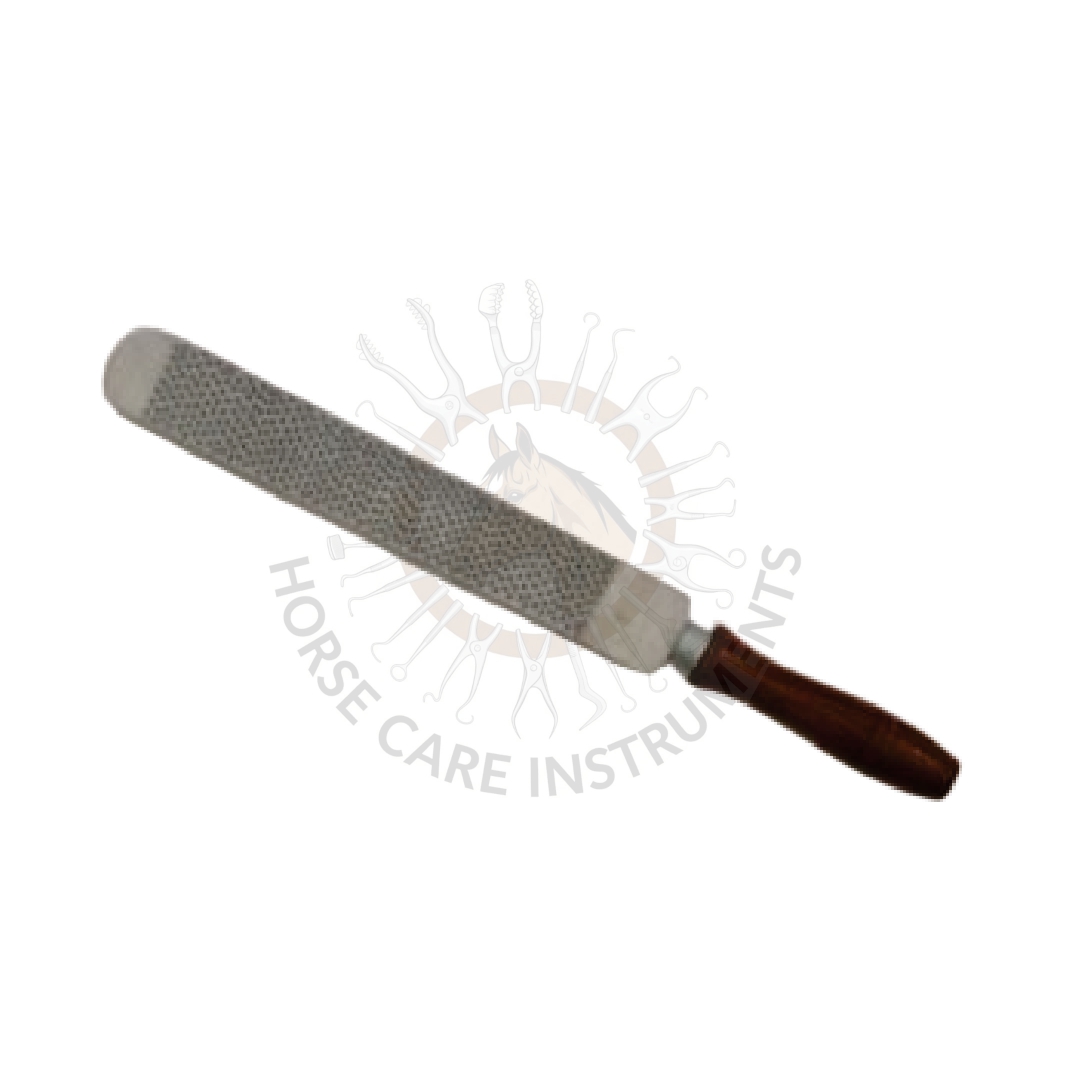Hoof Rasp with Handle – HORSE CARE INSTRUMENTS